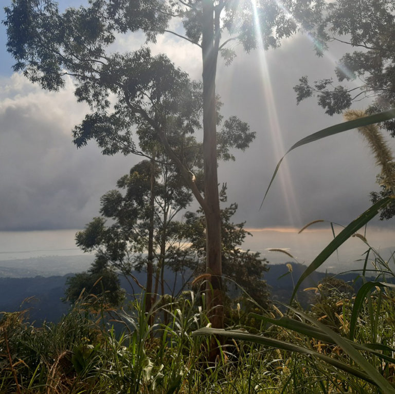 The Watchtower Project – Jamaica - Voice for Nature Foundation